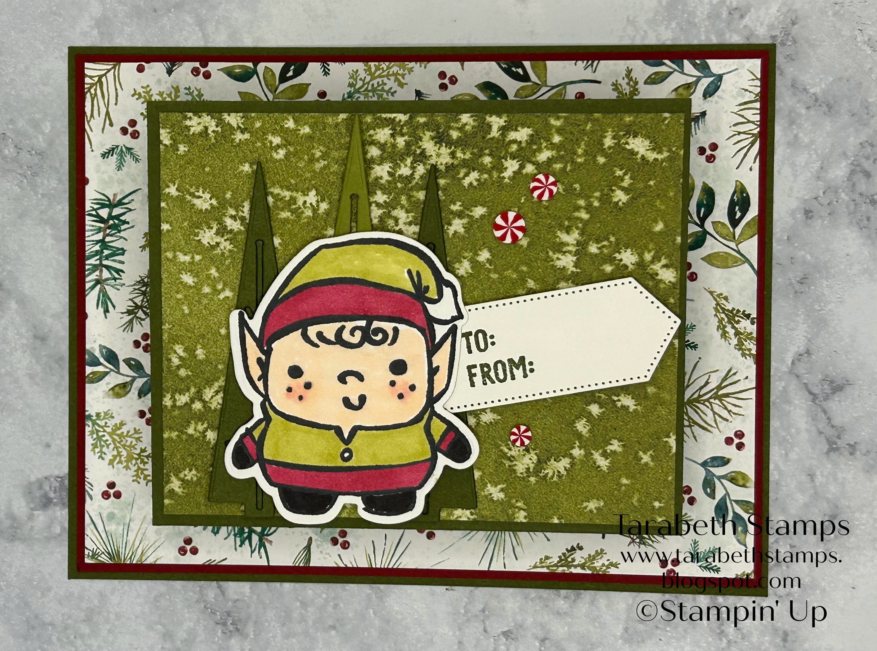 Stampin’ Up Festive Friends Gift Card Holder Video Tutorial – Tarabeth ...